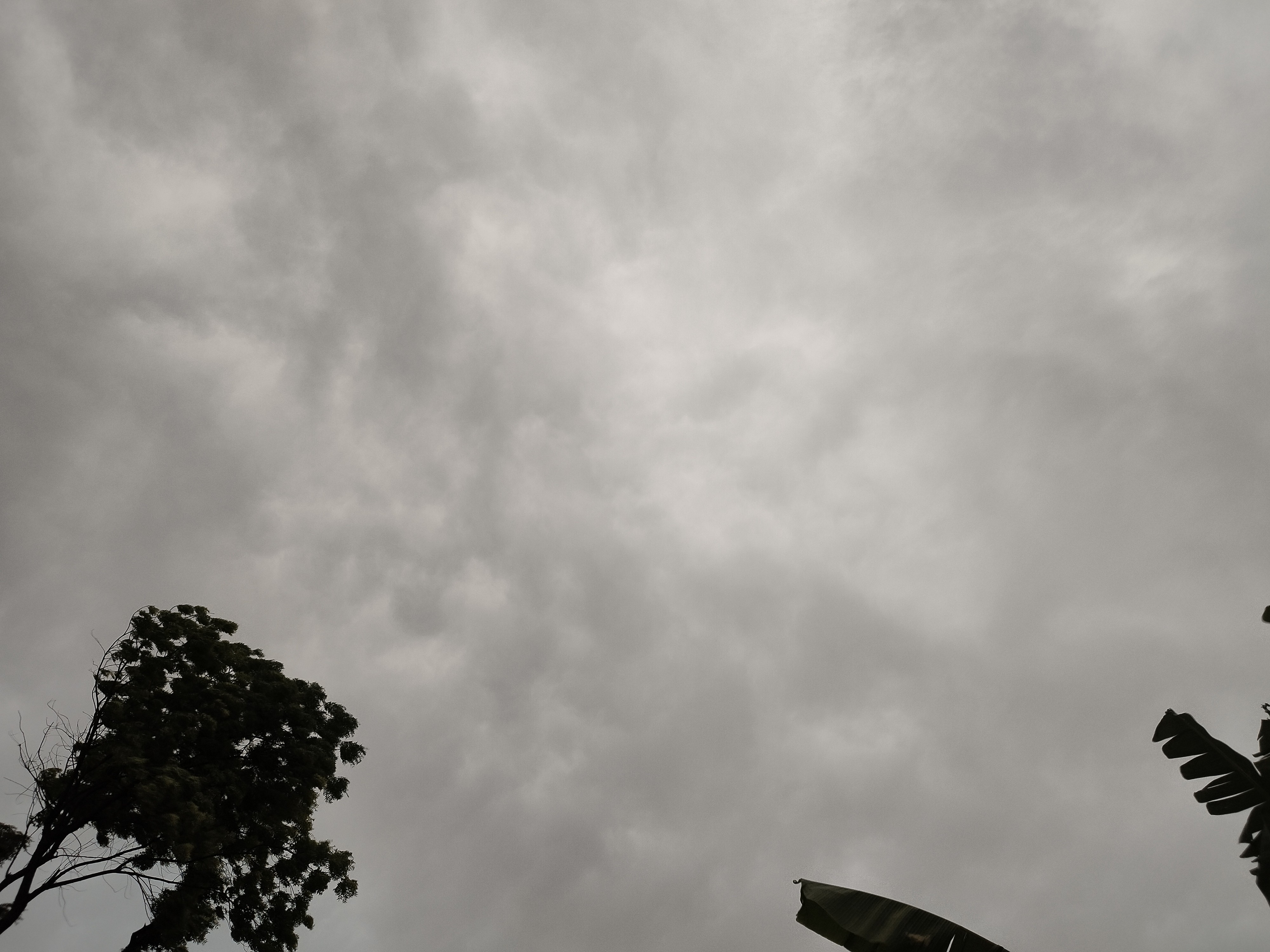 Rashmi Heat Relief | Farmers Await Rain | Cloudy Skies