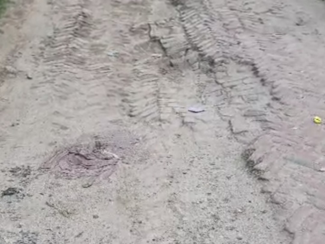Pali Ayushman Hospital Road Potholes | Locals Face Commute Trouble
