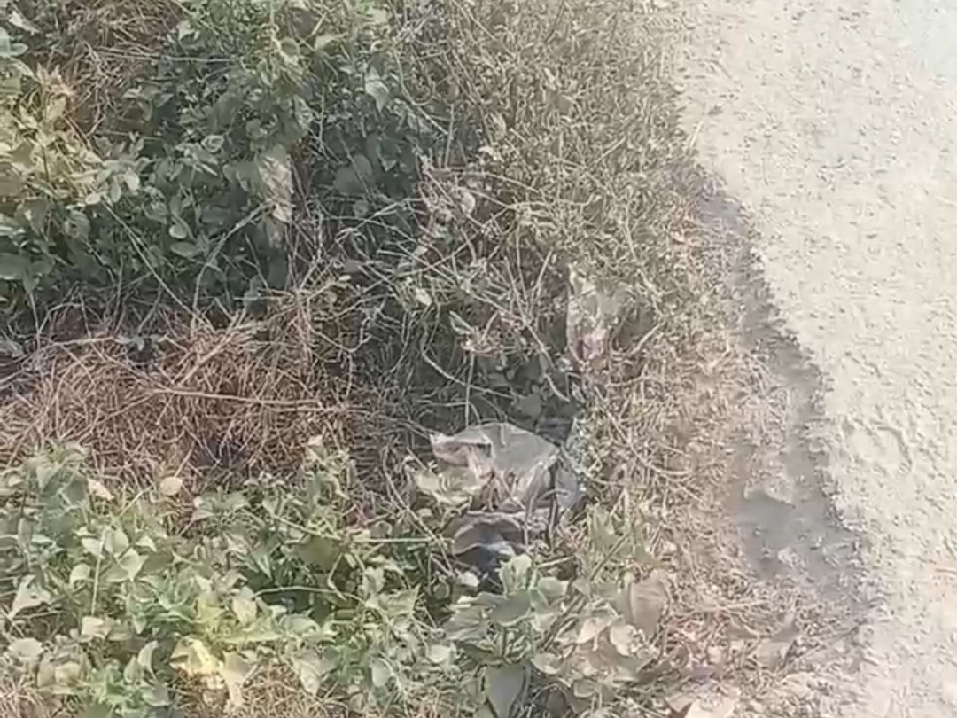 Mirzapur Village Road Bad Condition | Villagers Struggle Daily