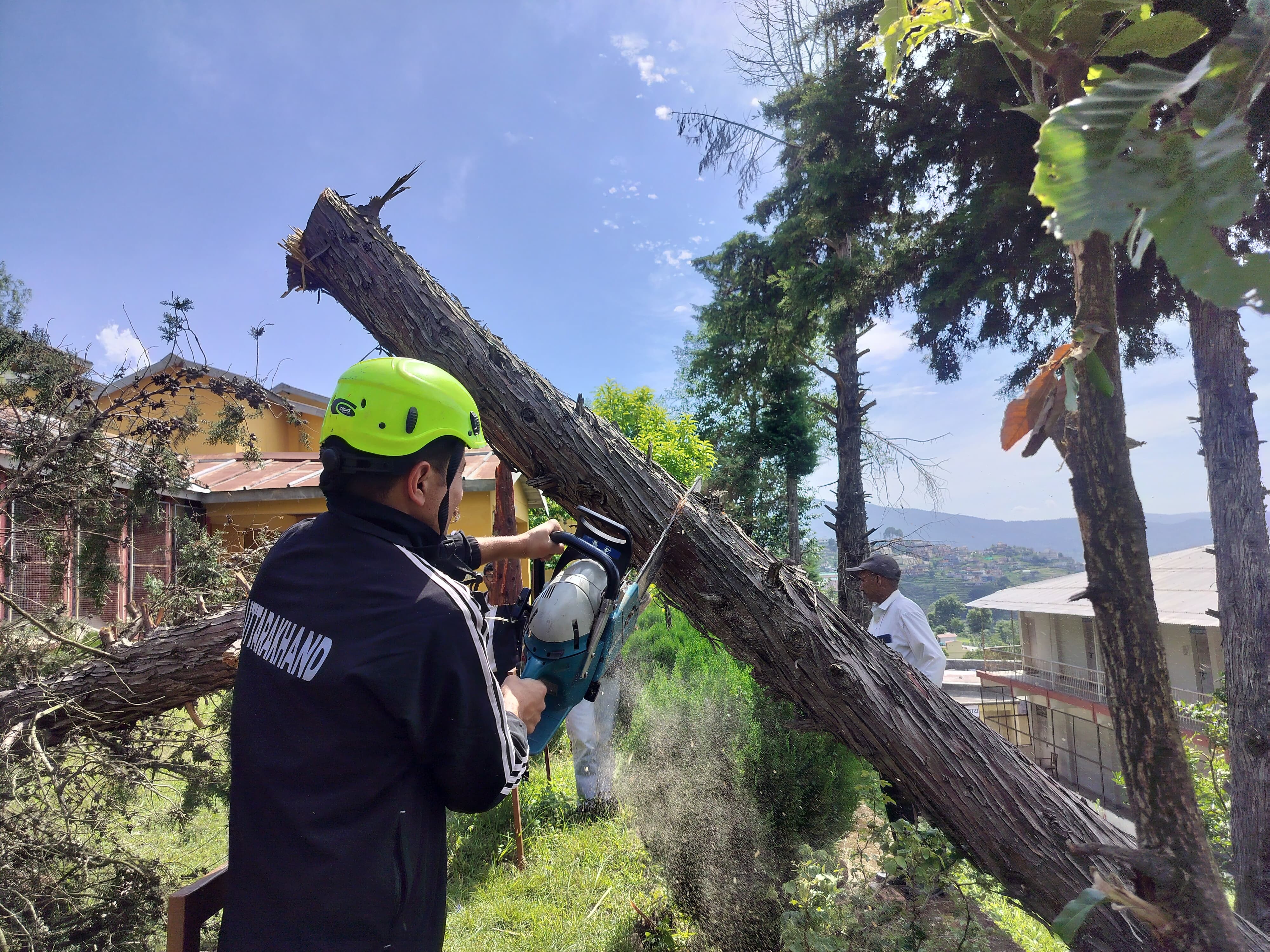 Soban Singh Jeena University Tree Fall Risk | Almora Law Faculty