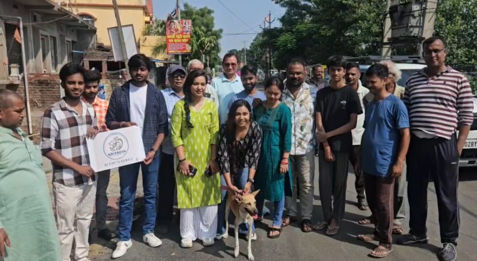 Paralyzed street dog runs again, 10 days of care brings her back to life