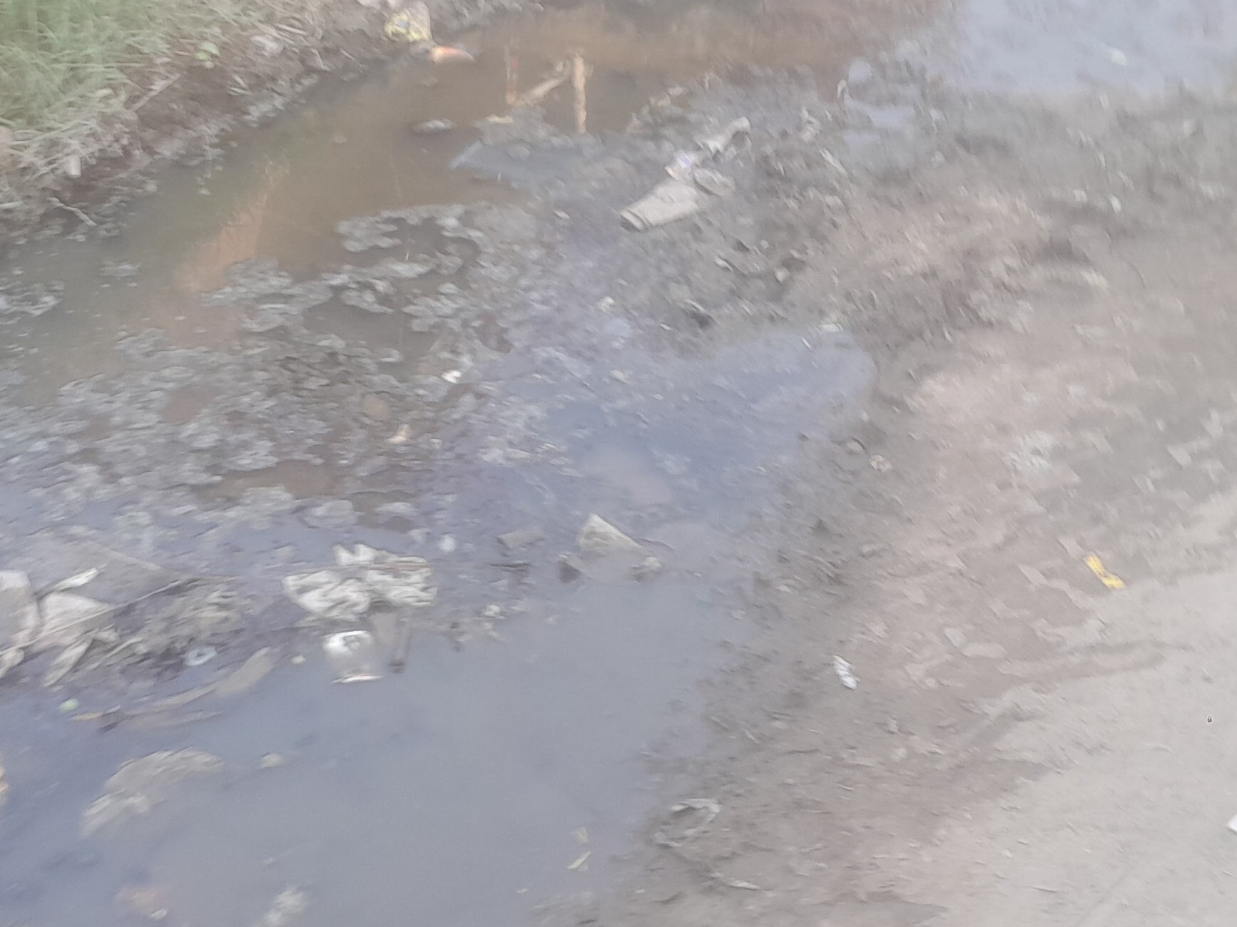 Kasganj Bodar Village Hygiene Crisis | Health Risk Alert