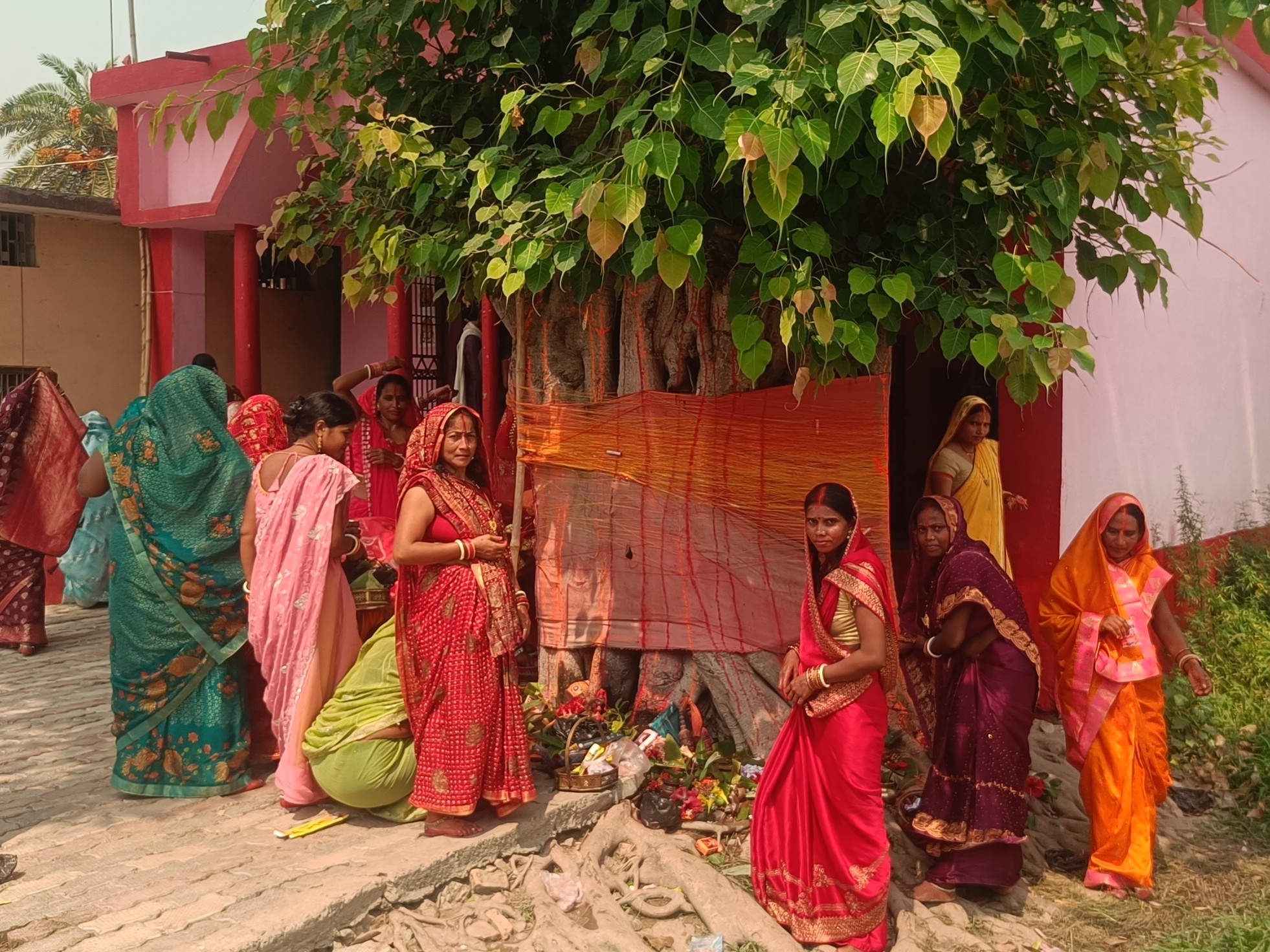 Gorauul Somvati Amavasya: Peepal Puja for Patis Long Life