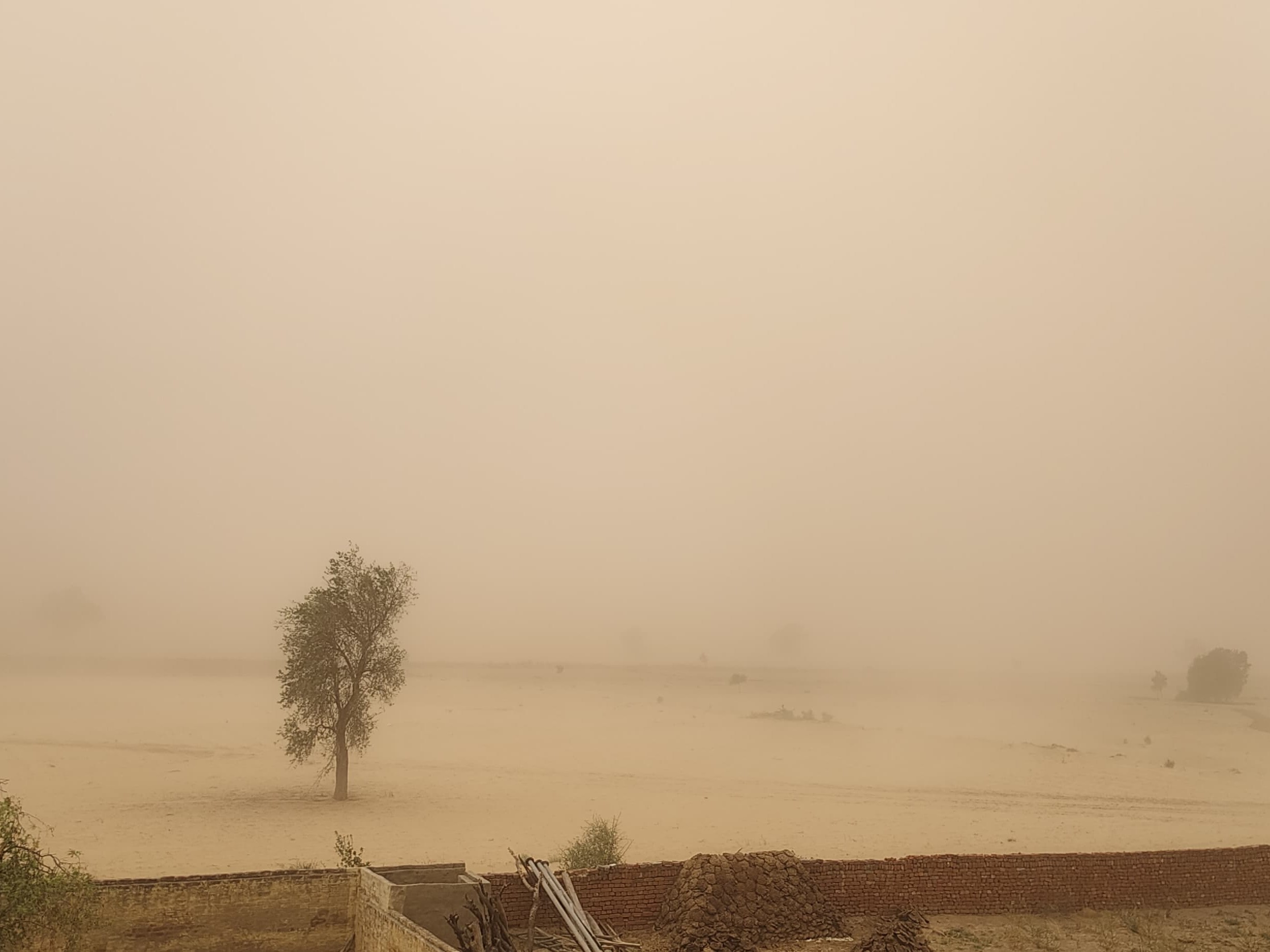 Fefana Cotton Crop Gets Relief After Dust Storm & Rain