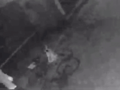 Chandigarh Water Meter Theft | Maloya Village Cycle Thief Caught