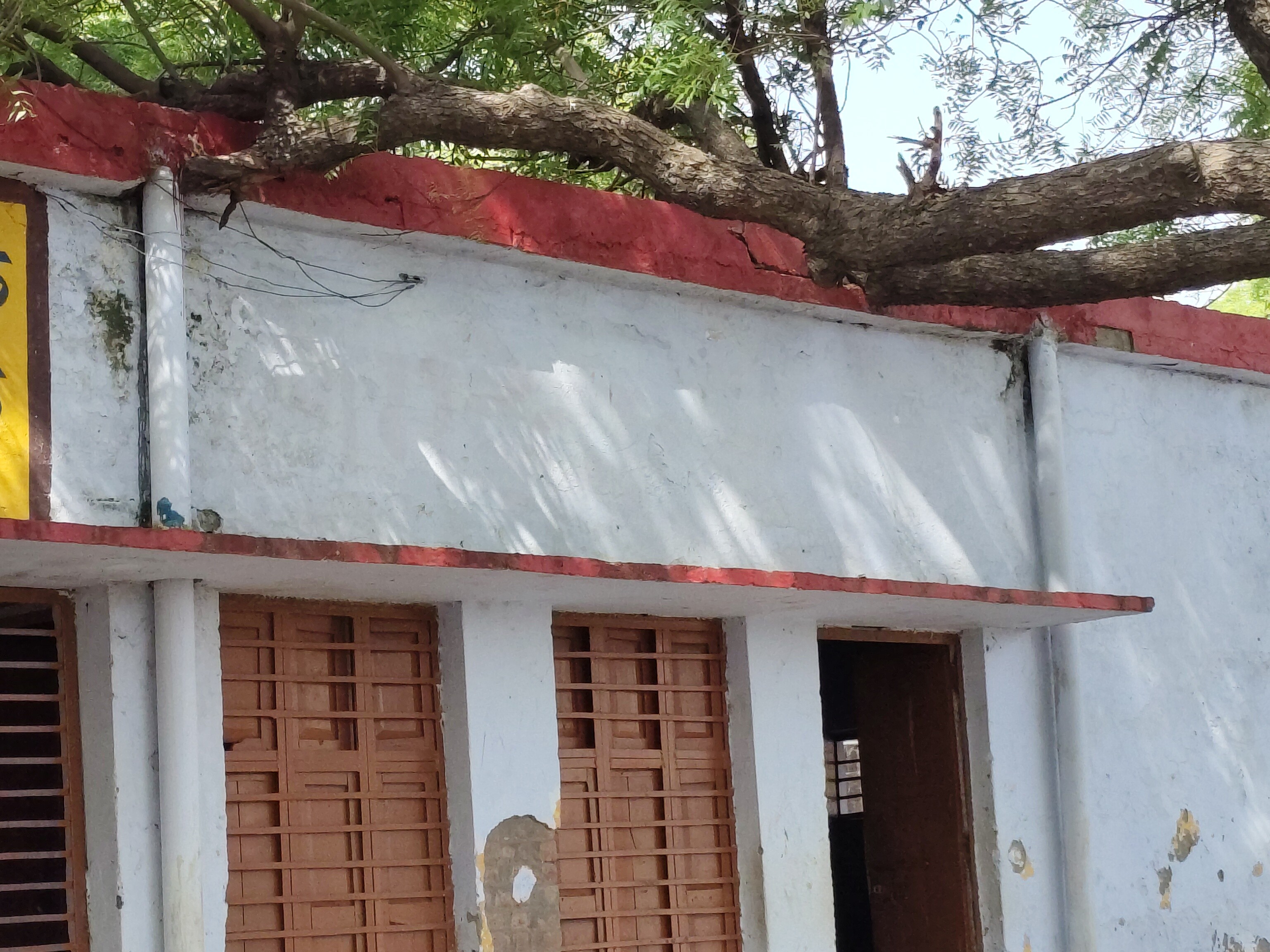 Etawah Ureg Neem Tree Falls on School Building | Children Safety Risk