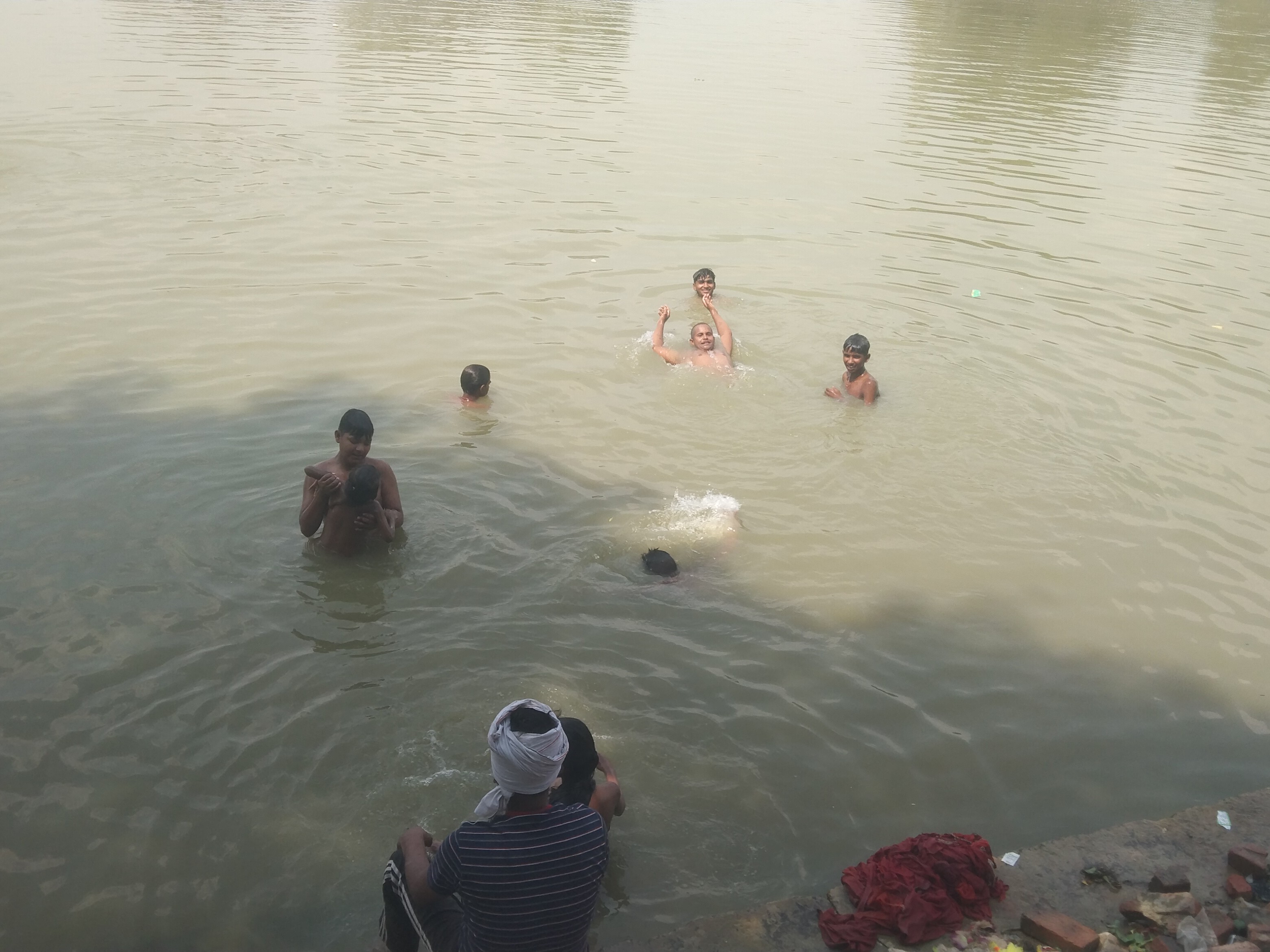 Tarai Heatwave Hits Animals | Doctors Advice For Protection