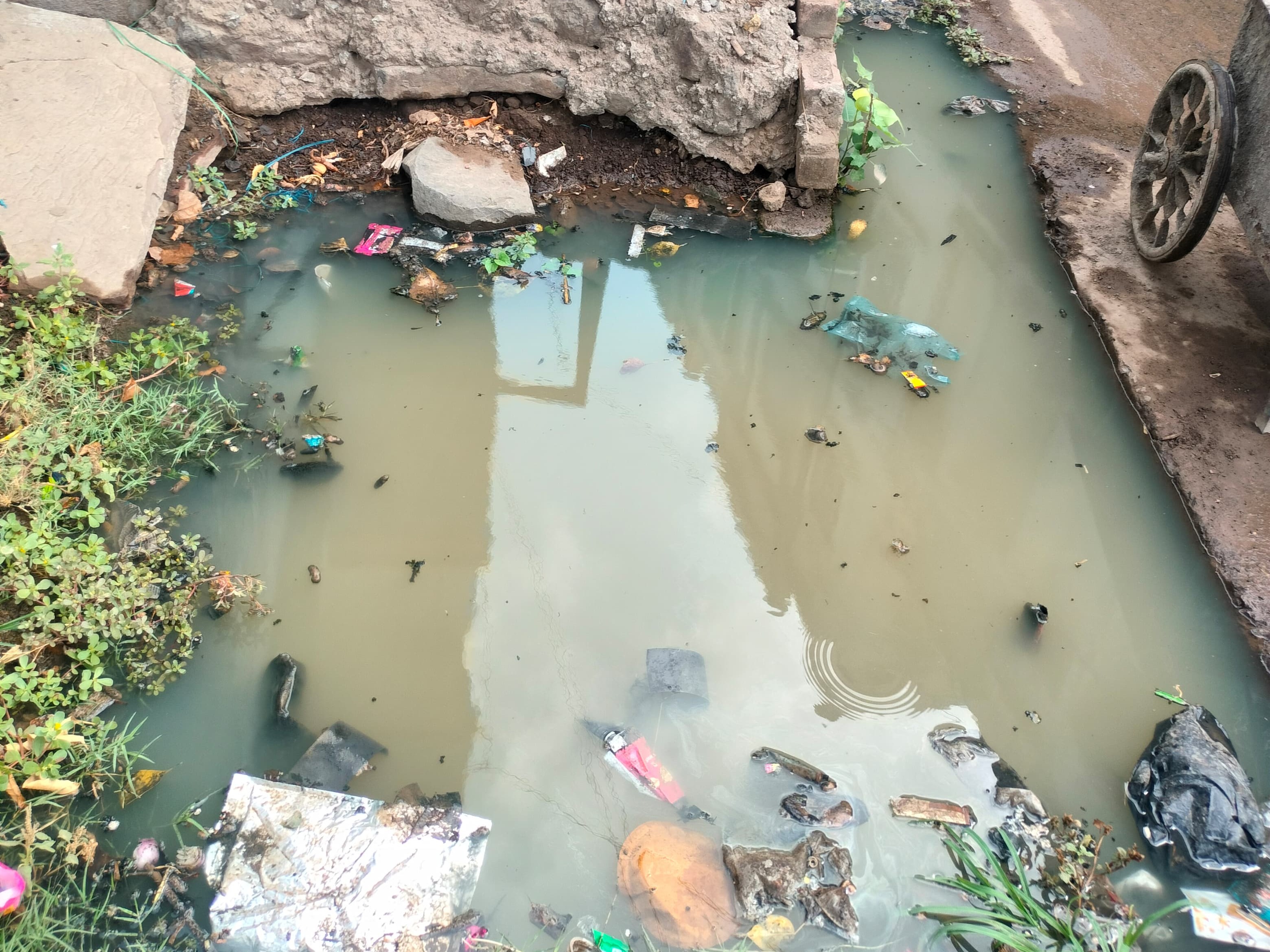 Dhamnod Ward 14 Drain Cleaning Issue | Residents Facing Problems