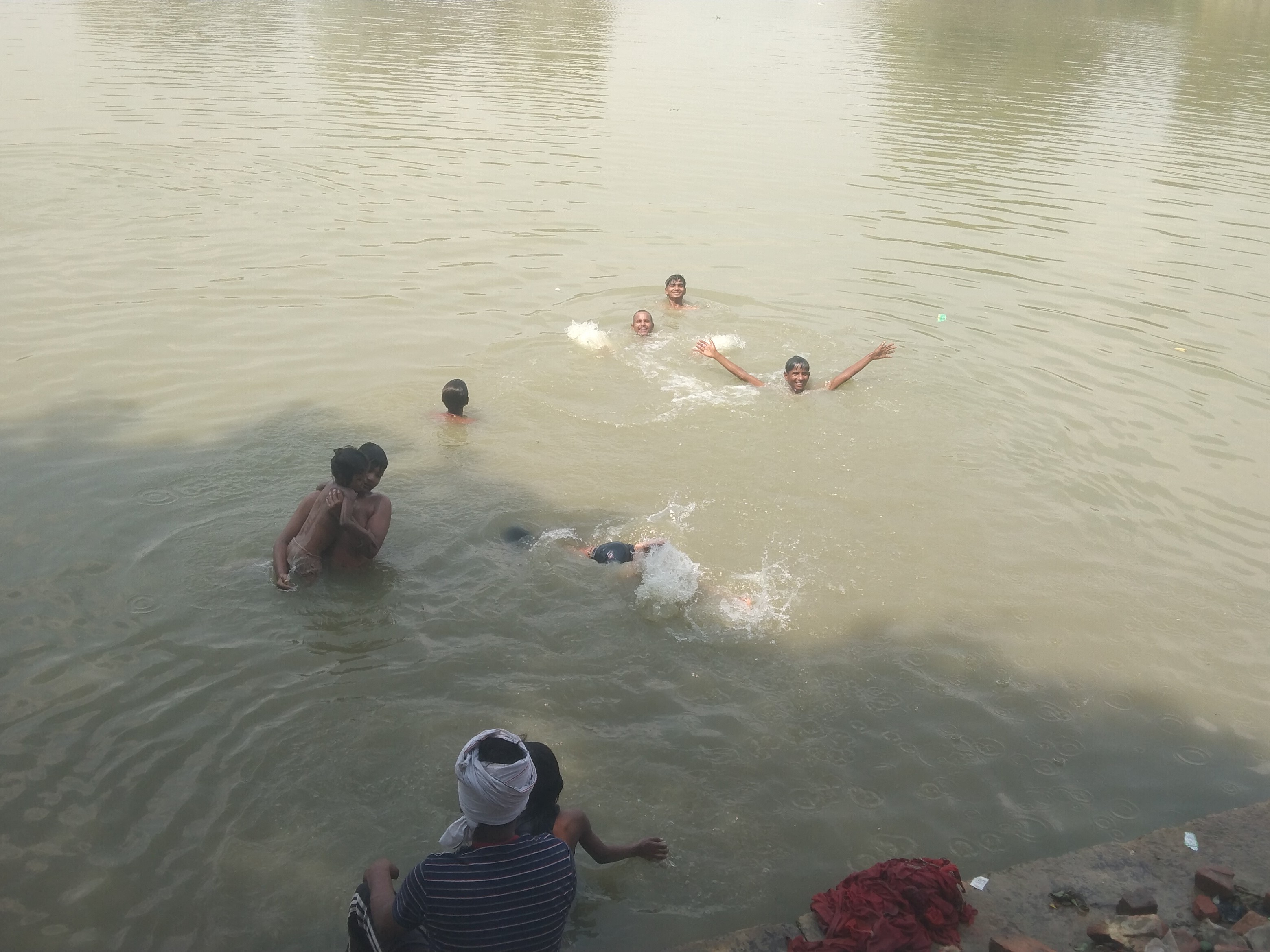 Tarai Heatwave Hits Animals | Doctors Advice For Protection