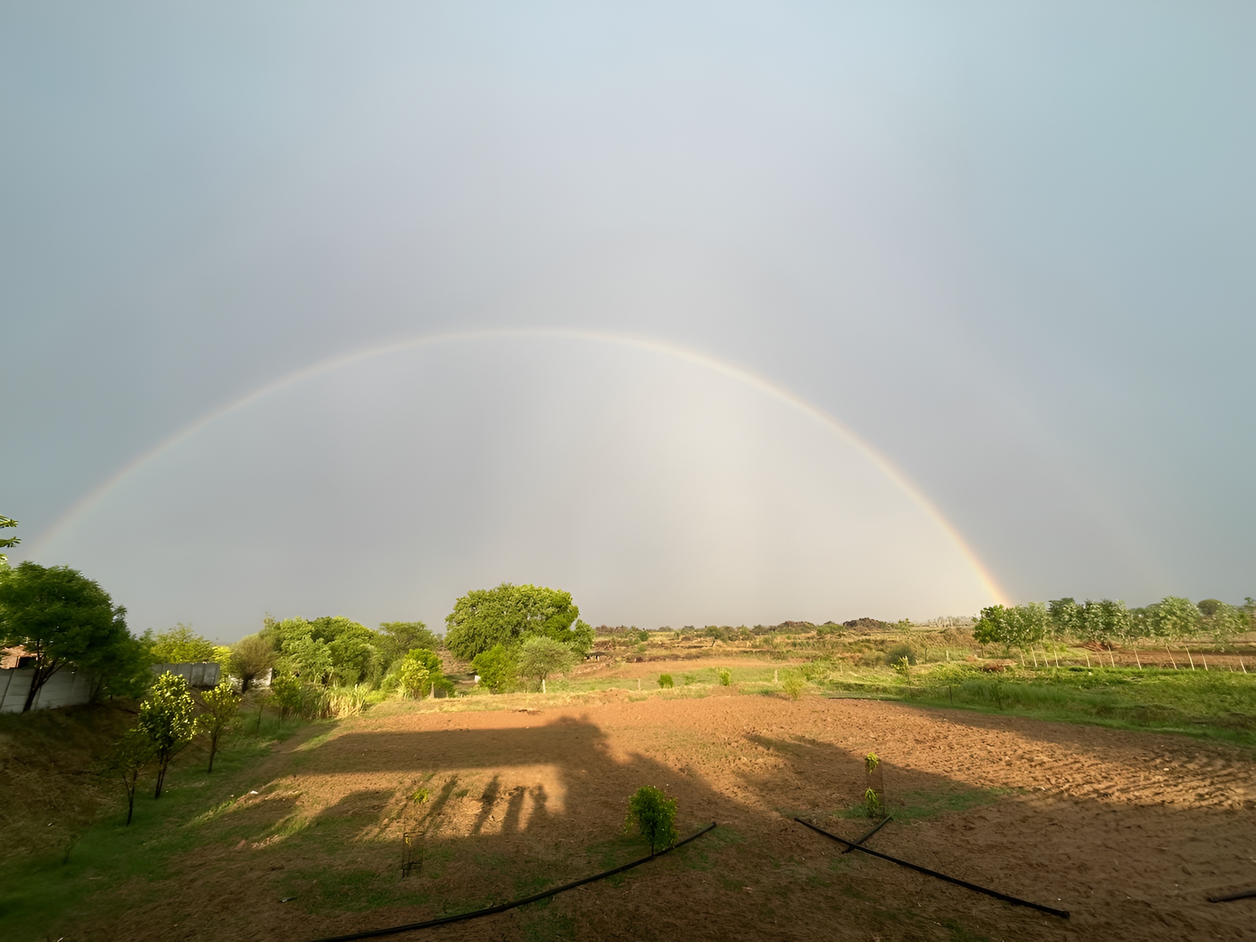 Beautiful rainbow colours spread across the Jhiri area of DKTR