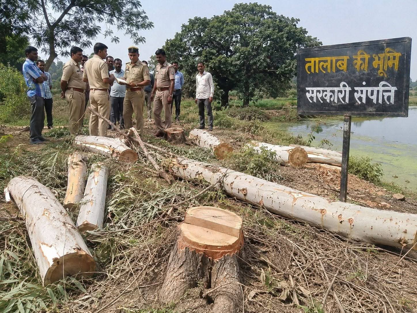 Mohan Ganj Illegal Tree Cutting | Uttar Pradesh Police Probe
