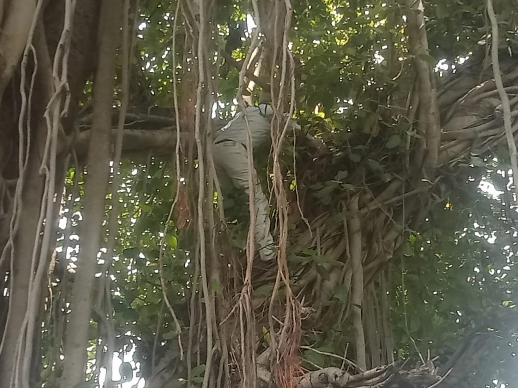 Ayodhya Farmer Suicide Attempt | Land Dispute Distress