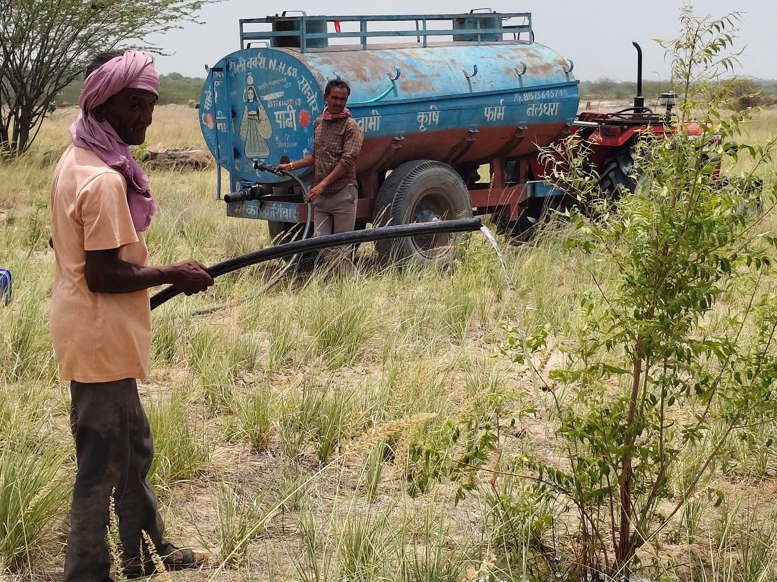 Dungri Arwa Villagers Irrigate Plants with Tankers | Environment ...
