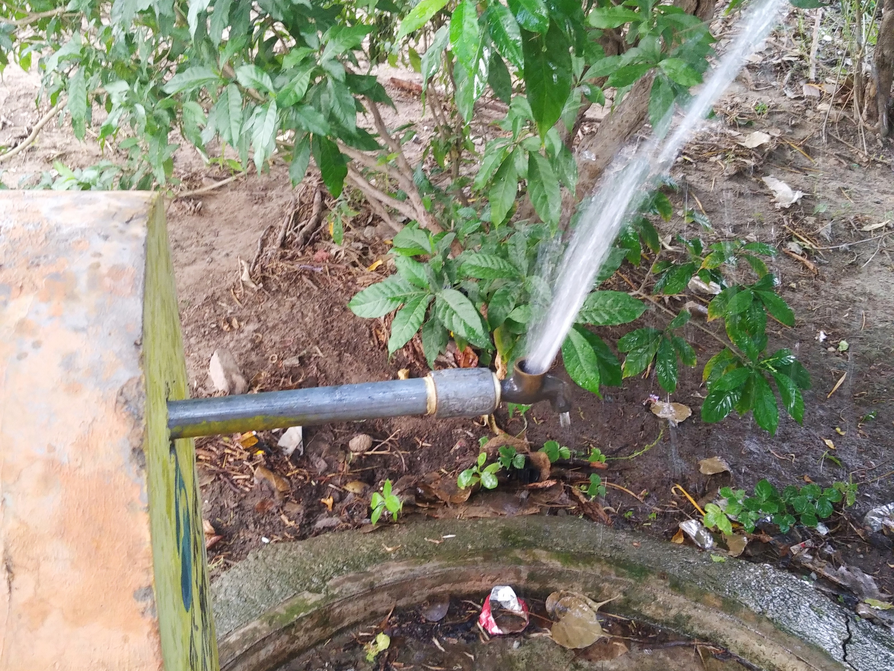 Dodopur Water Wastage | Jal Jeevan Mission Failure Officials Apathetic