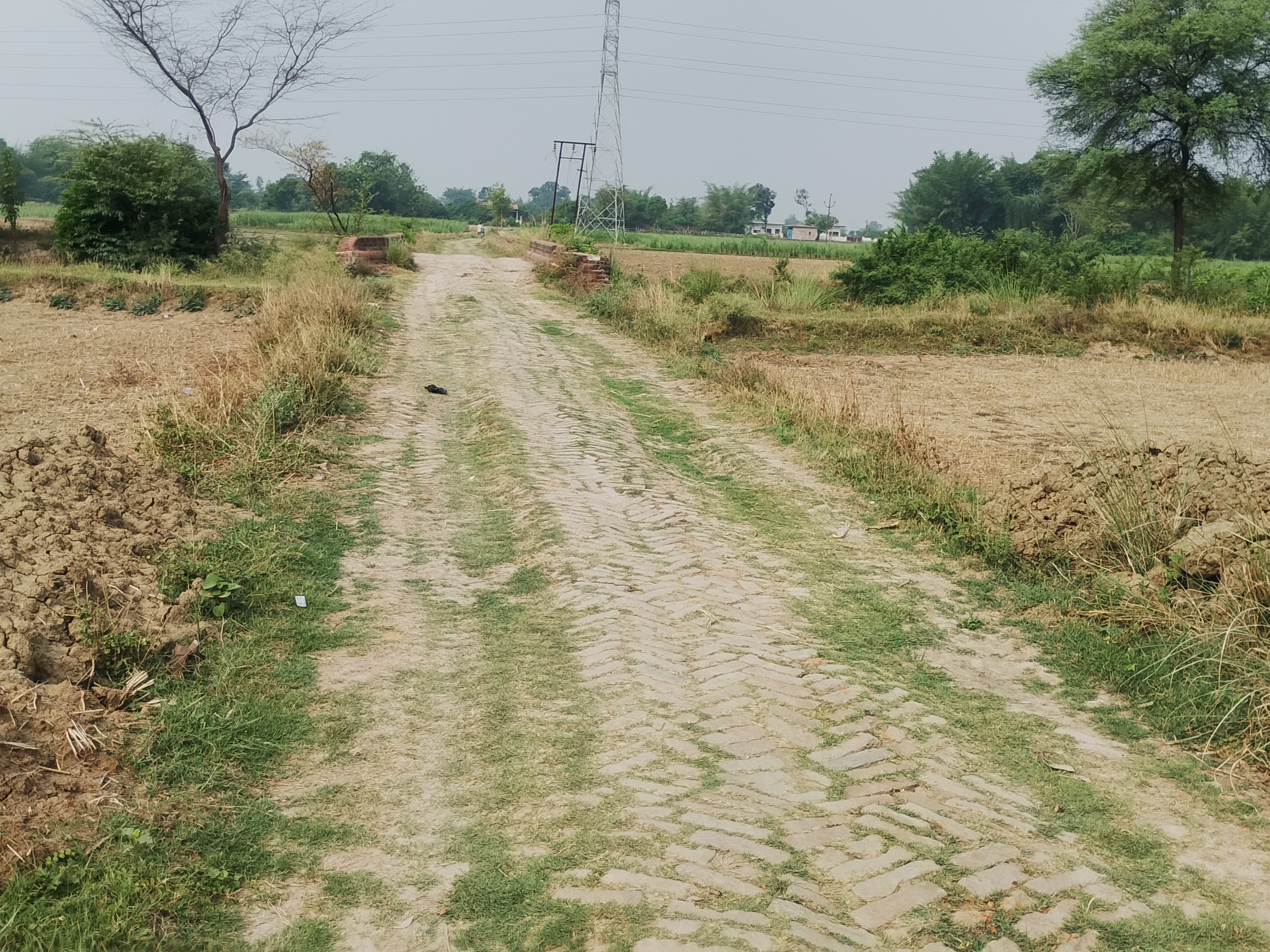 Alawalpur Road Construction Stalled | Sadho Mod to Sukha Pur