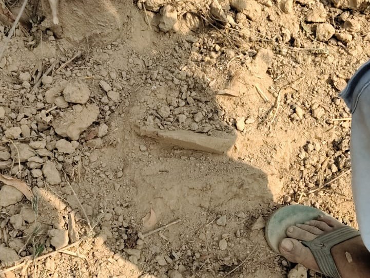 Barabanki Kothi Tree Cutting | Forest Dept Confirms 6 Trees, Villagers ...