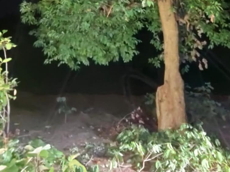 Shahdol Lightning Strike Death | Young Man Sheltering Under Tree