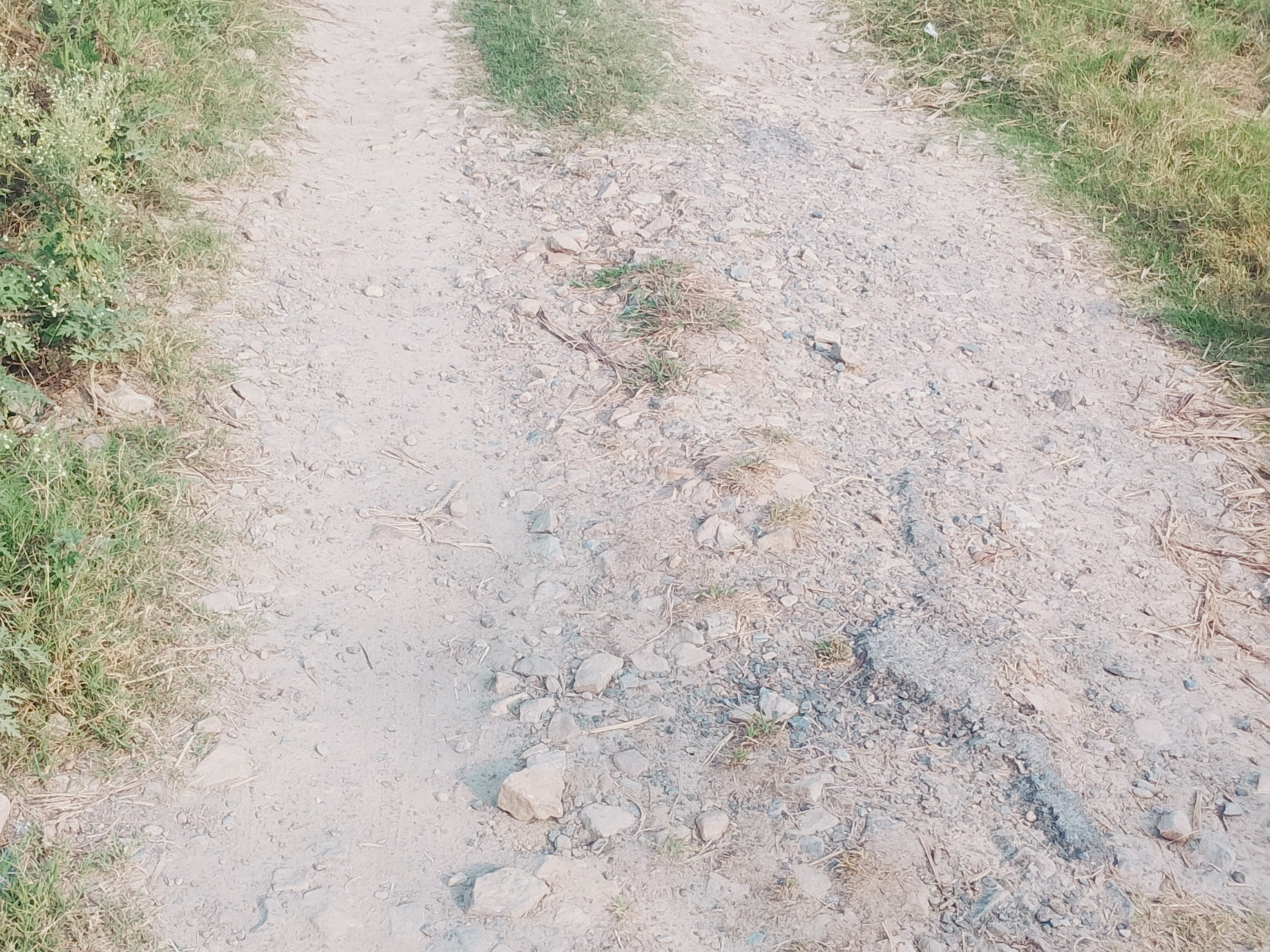 Mohshimpur Road Repair Demand | Pradhan Meets MLA Over Broken Link