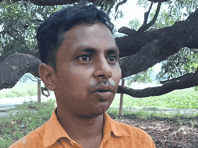 Malihabad Mother Tree: Dashari Mango Seeds Spread Worldwide | Video