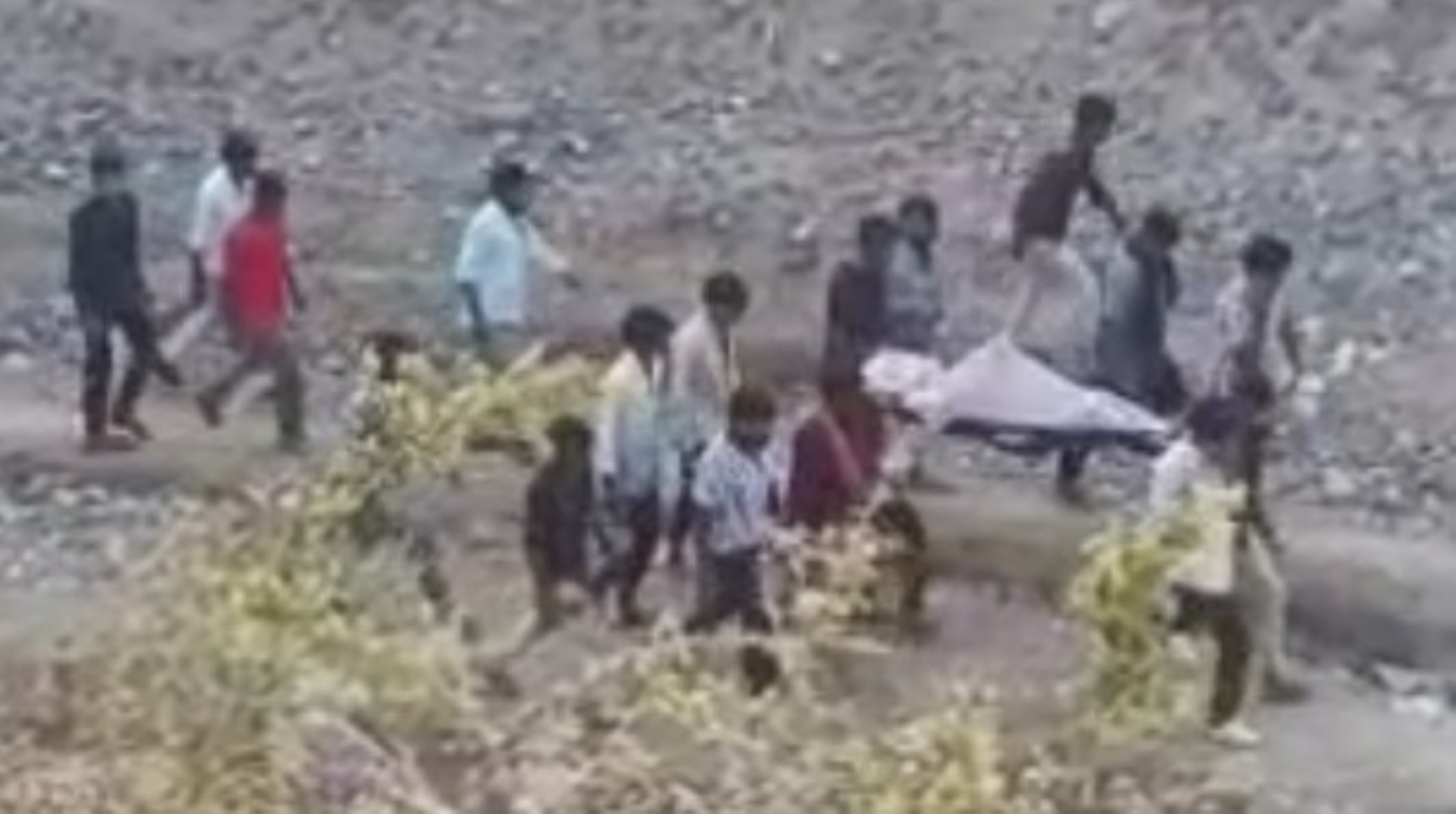 A young man who went for a walk with his friends drowned in Harisagar pond.