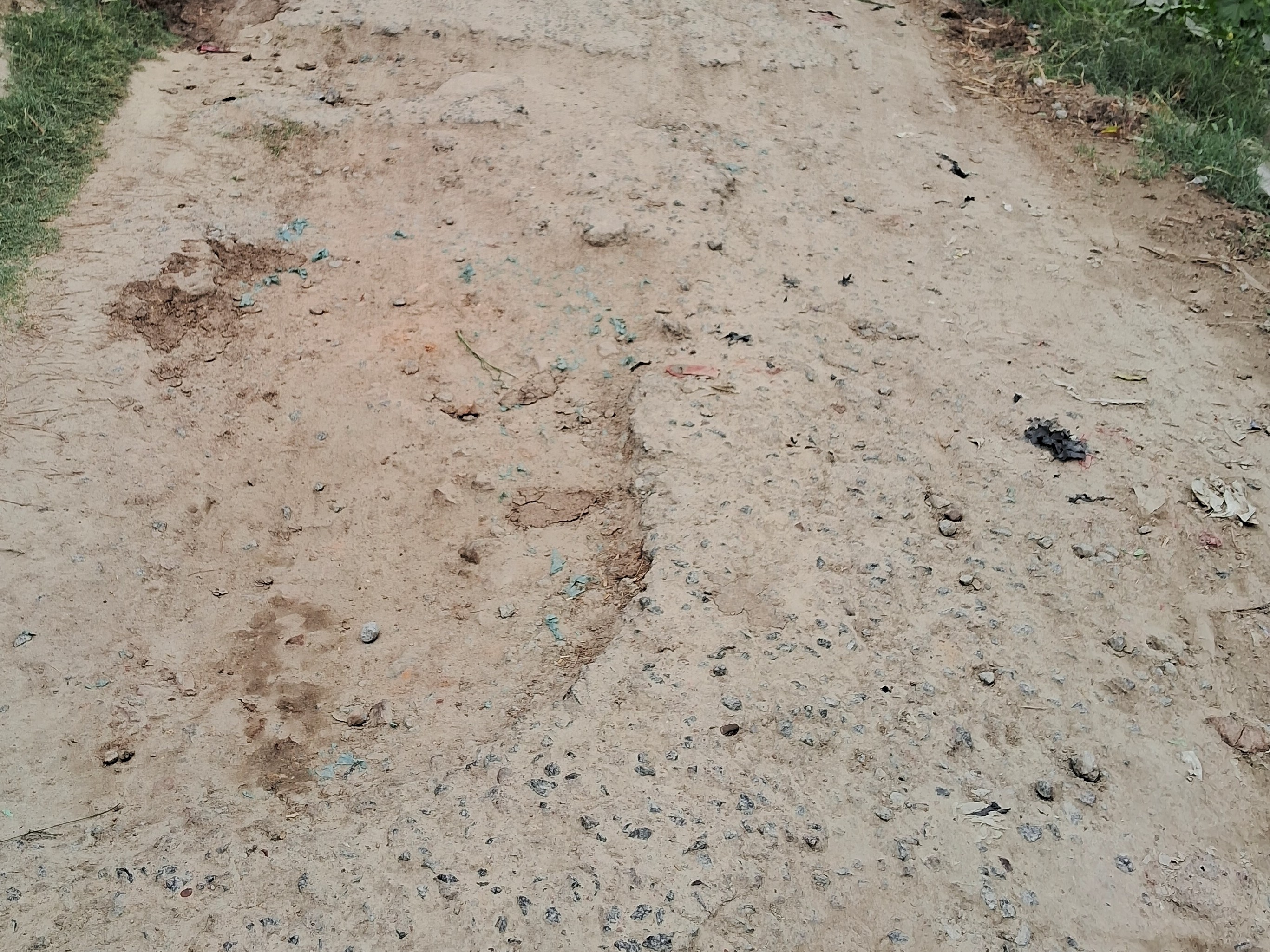 Gopalpur Road Woes: Councillor Promises Early Repair | Local News