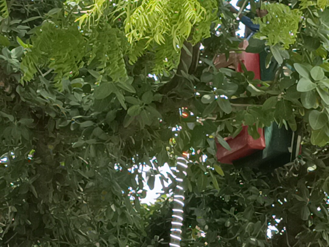 Marhra Tiranga Lights Repair | Etah Municipality Brightens Streets