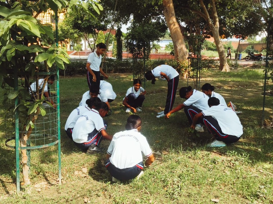Bidhuna College Yoga Day 2026 | Swachhta Abhiyan, Poster Competition