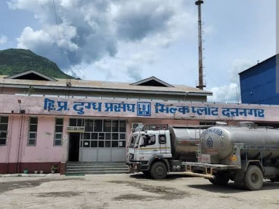 Shimla Milk Plant Halts Collection Due to Diesel Shortage