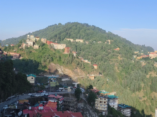 Latest Kangra News (कांगड़ा न्यूज़): पढ़ें 21 जून के ताज़ा समाचार दैनिक ...