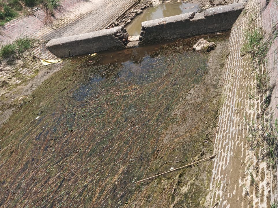 Bijnor Afzalgarh Farmers Await Canal Water | Irrigation Crisis