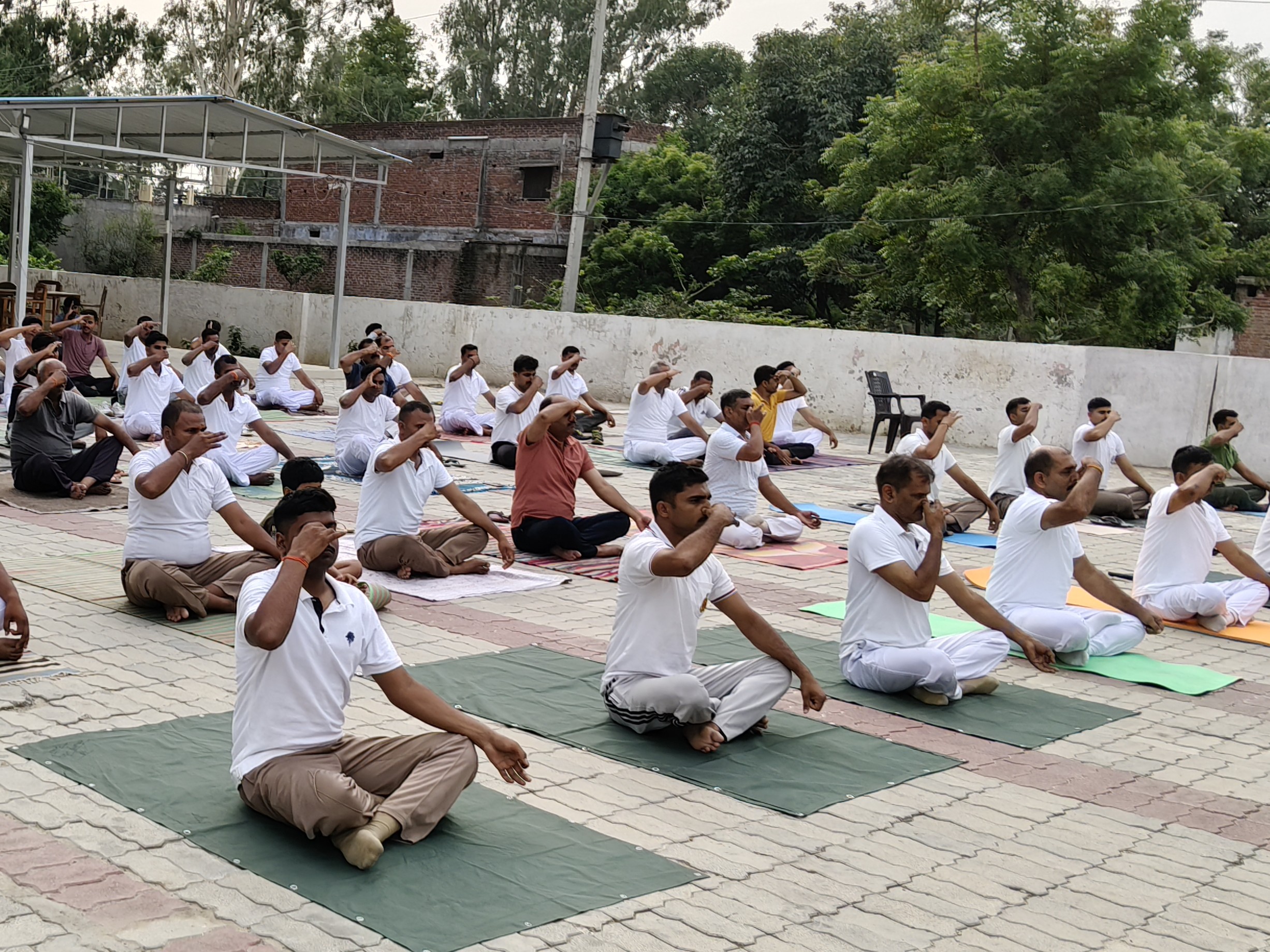 Pisawa Yoga Day: Officials, Police Join Mass Yoga Session