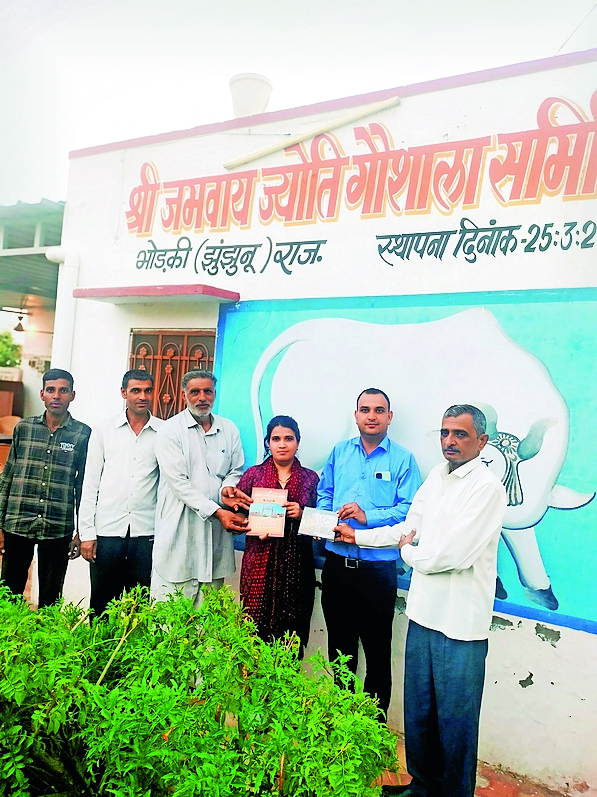 77 cows became millionaires in Bhodaki cowshed