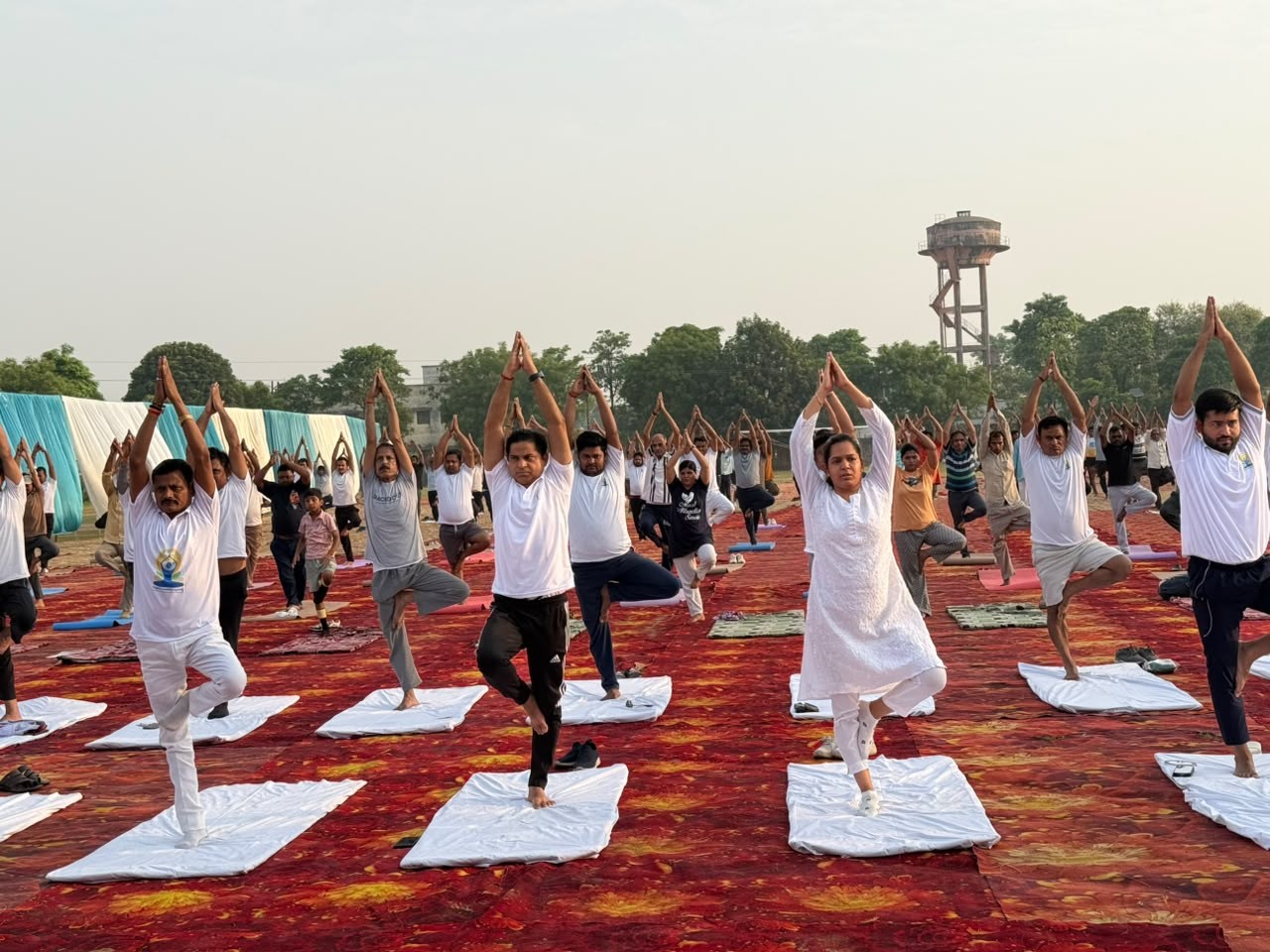 Shravasti Yoga Day: DM & Reps Practice Yoga for Healthy Life ...