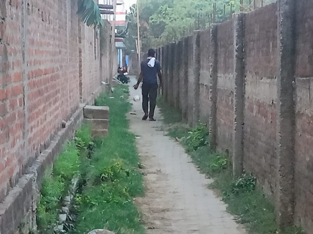 Bara Road Overgrown Grass: Traffic Hazard & Health Risk