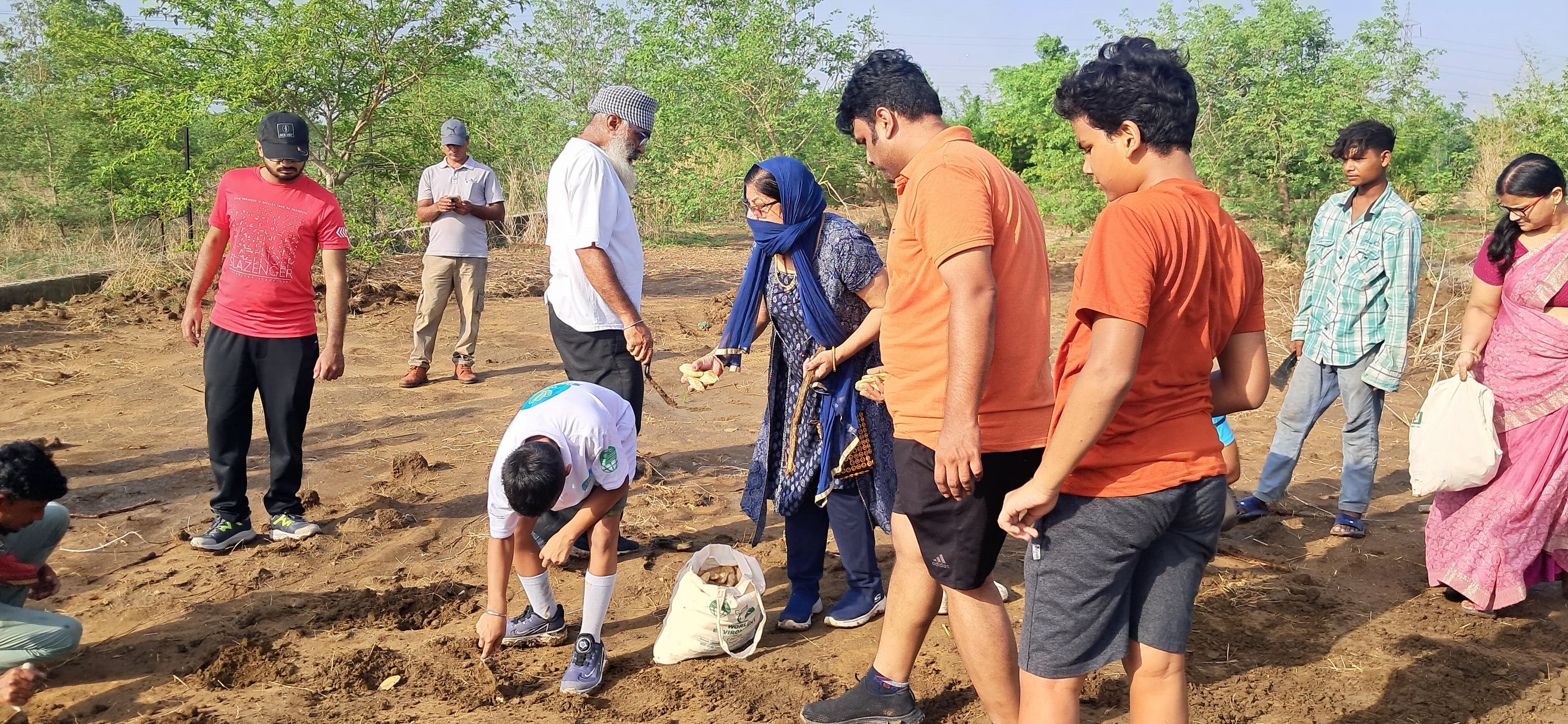 1008 mango seeds sown in Abheda Biological Park