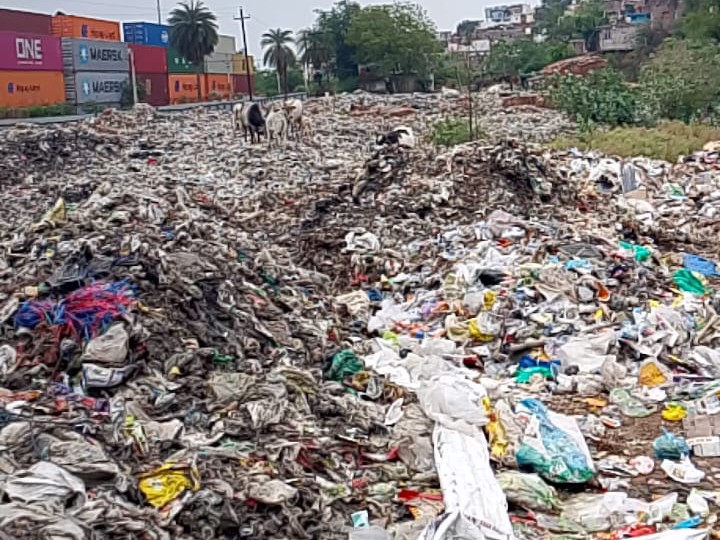 Ward 10 Dumping Site Reopens | Environment & Animal Safety Threat