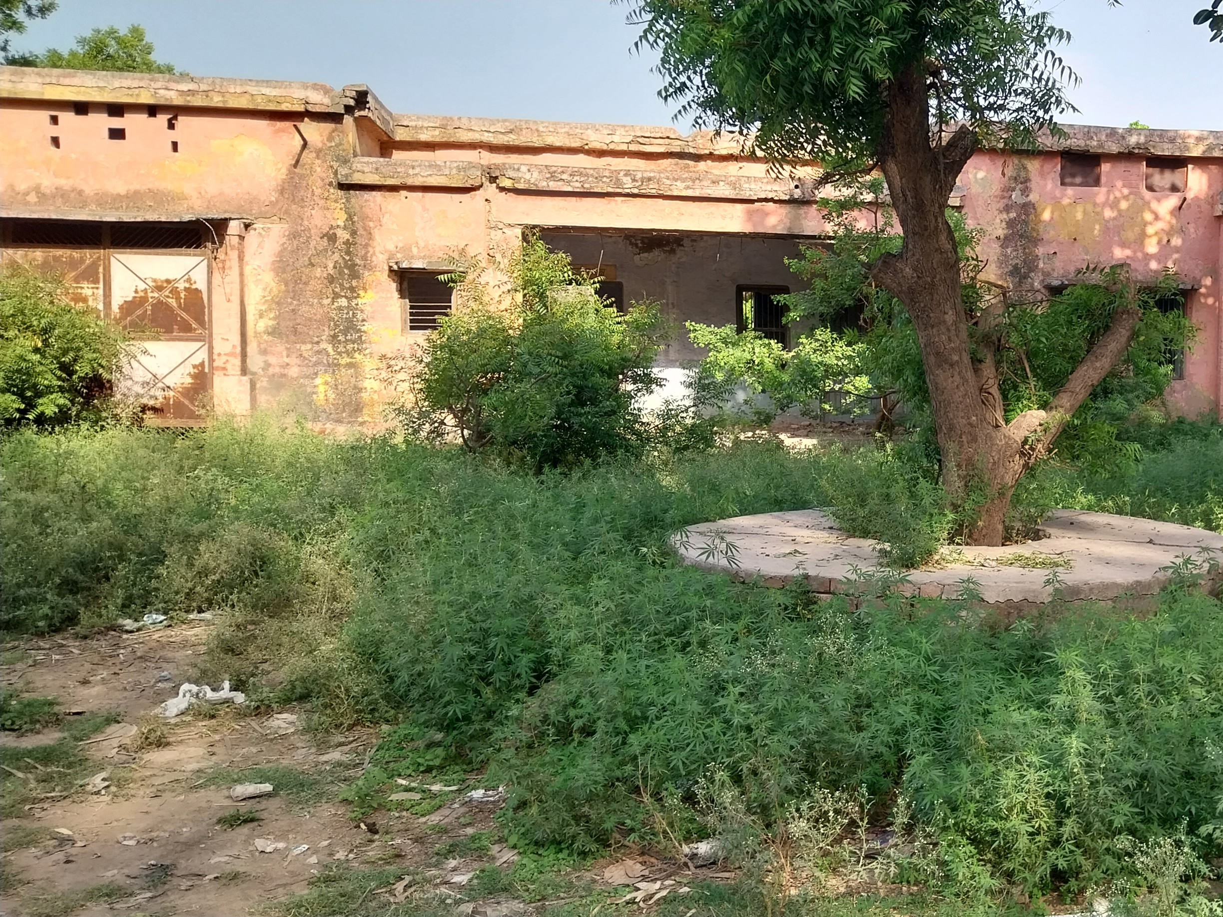 Binuali PHC Ruined | Villagers Demand Health Services Start