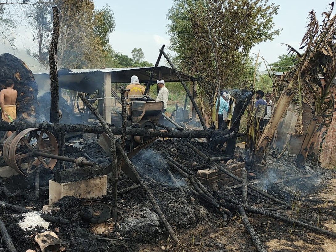 Prayagraj Fire: Short Circuit Sparks Blaze, Millions Lost, Buffalo Injured