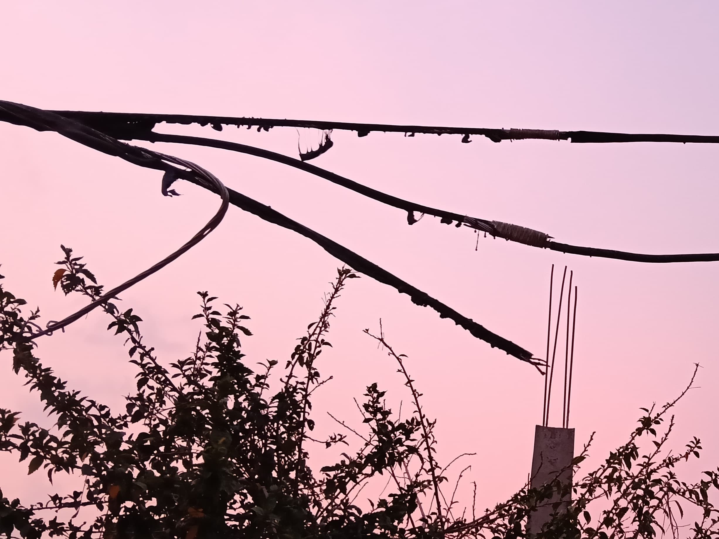 Dildarnagar Power Outage | Short Circuit, Faulty Cables Disrupt Supply