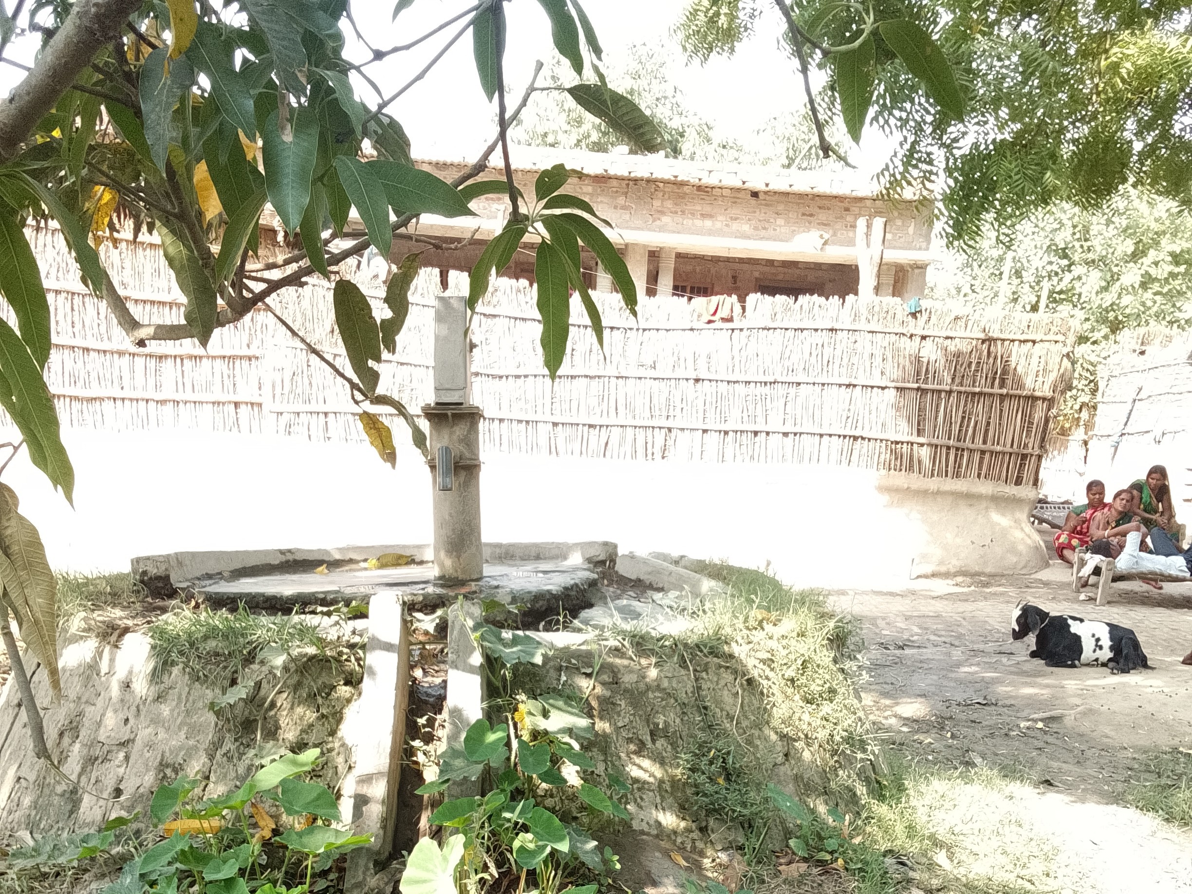 Bahraich Villagers Lack Clean Water | Handpump Broken 6 Months