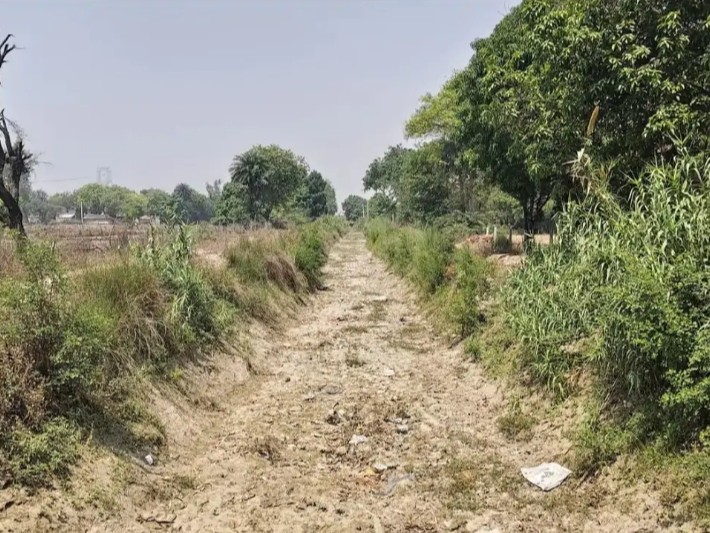 Bayara Farmers Cattle Suffer Irrigation Crisis | Saryu Canal Dry