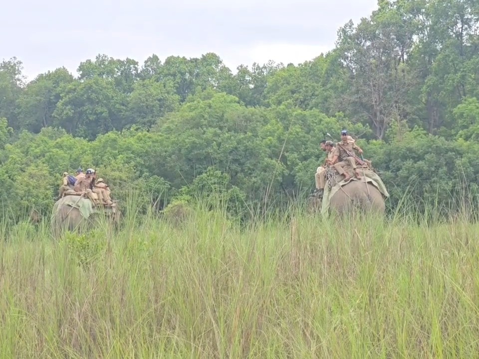 Corbett Monsoon Patrolling | Wildlife Security Boosted With Drones ...