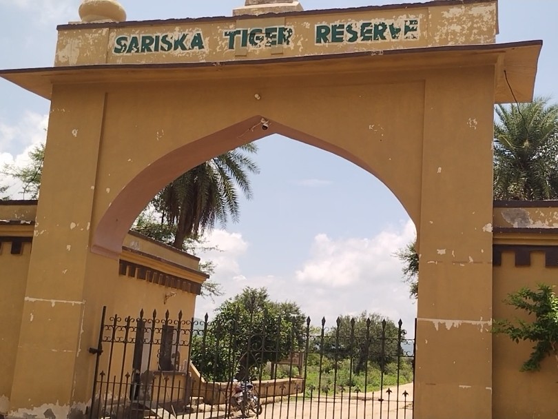 Sariska Tiger Reserve Closed July | Reopens Oct 2026 for Wildlife Breeding