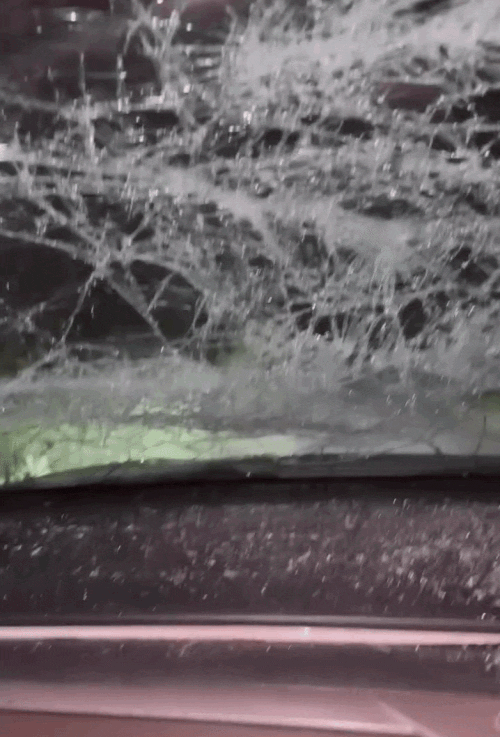 Haryanvi Dancer Attacked in Bulandshahr; Car Smashed | Dimple Chaudhary
