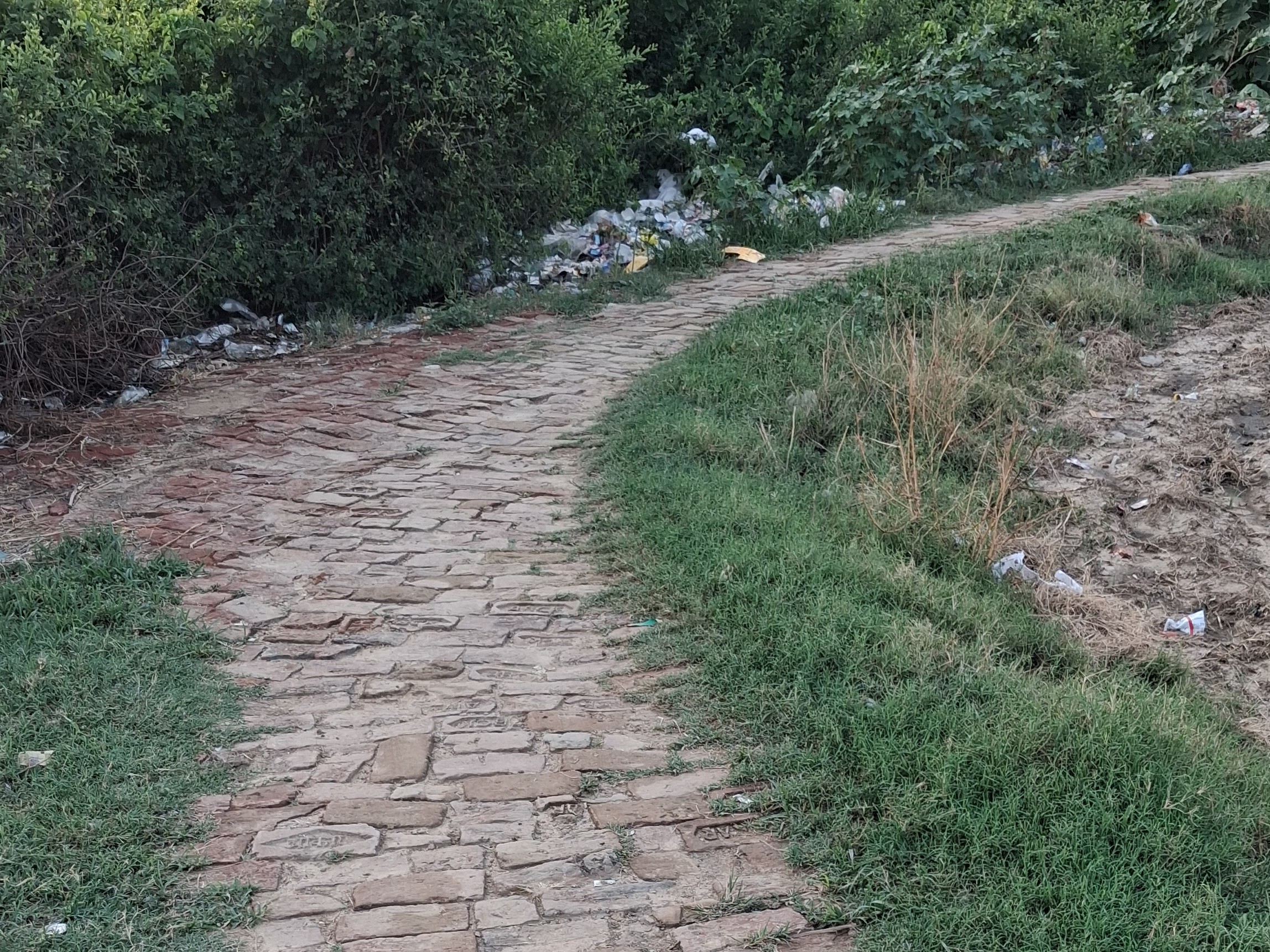 Siddharthnagar Villagers Demand Road Repair | Harijan Basti Road Badhal