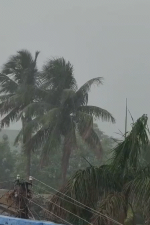 Jharkhand Monsoon Active Till July 2 | 5 Degree Temp Drop