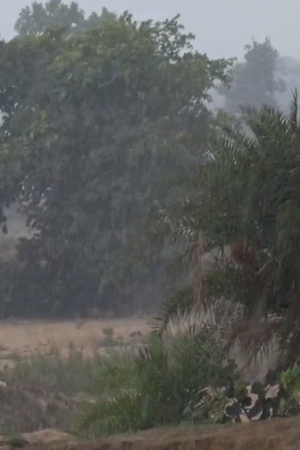 Jharkhand Monsoon Active Till July 2 | 5 Degree Temp Drop