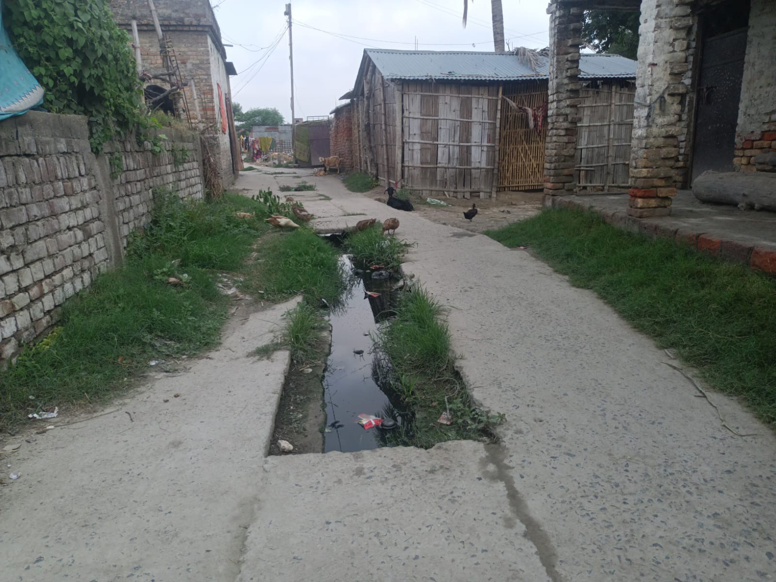 Yogatipur Nagar Panchayat Drain Slab Repair Demand | Local Residents