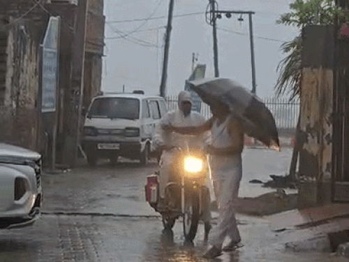 Haryana Monsoon Active | Heavy Rain Alert 5 Districts; 4 Day Forecast