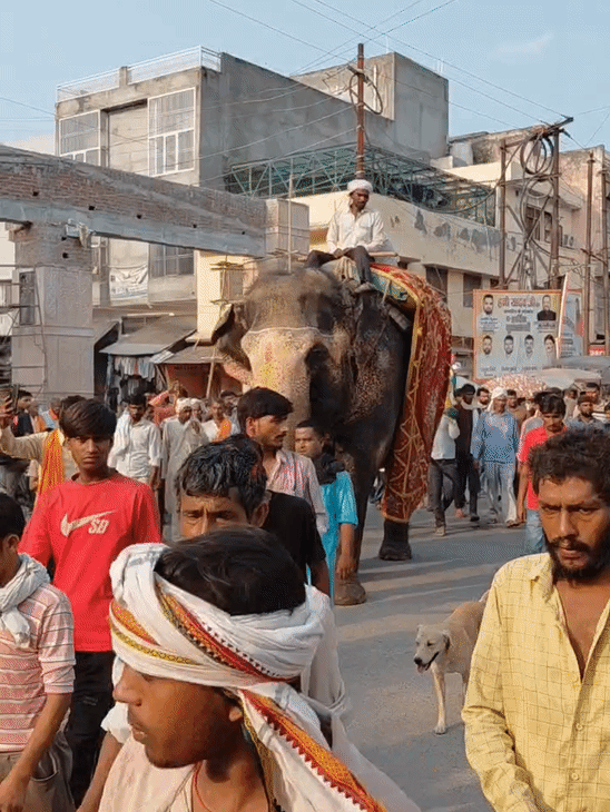 Sambhal Woman Funeral Procession | Pet Elephants Join Final Rites
